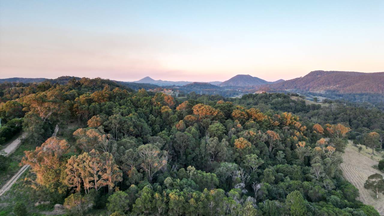 Kalari Retreat