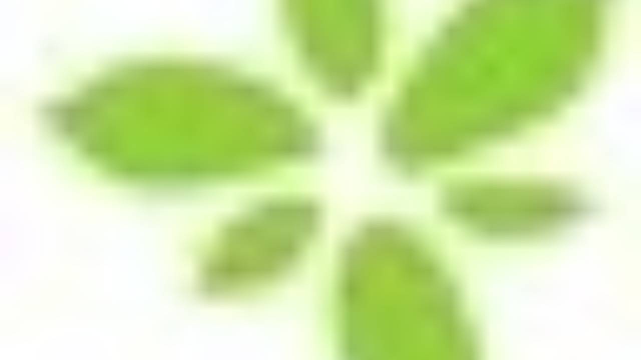 Suolisto kuntoon- valmennus