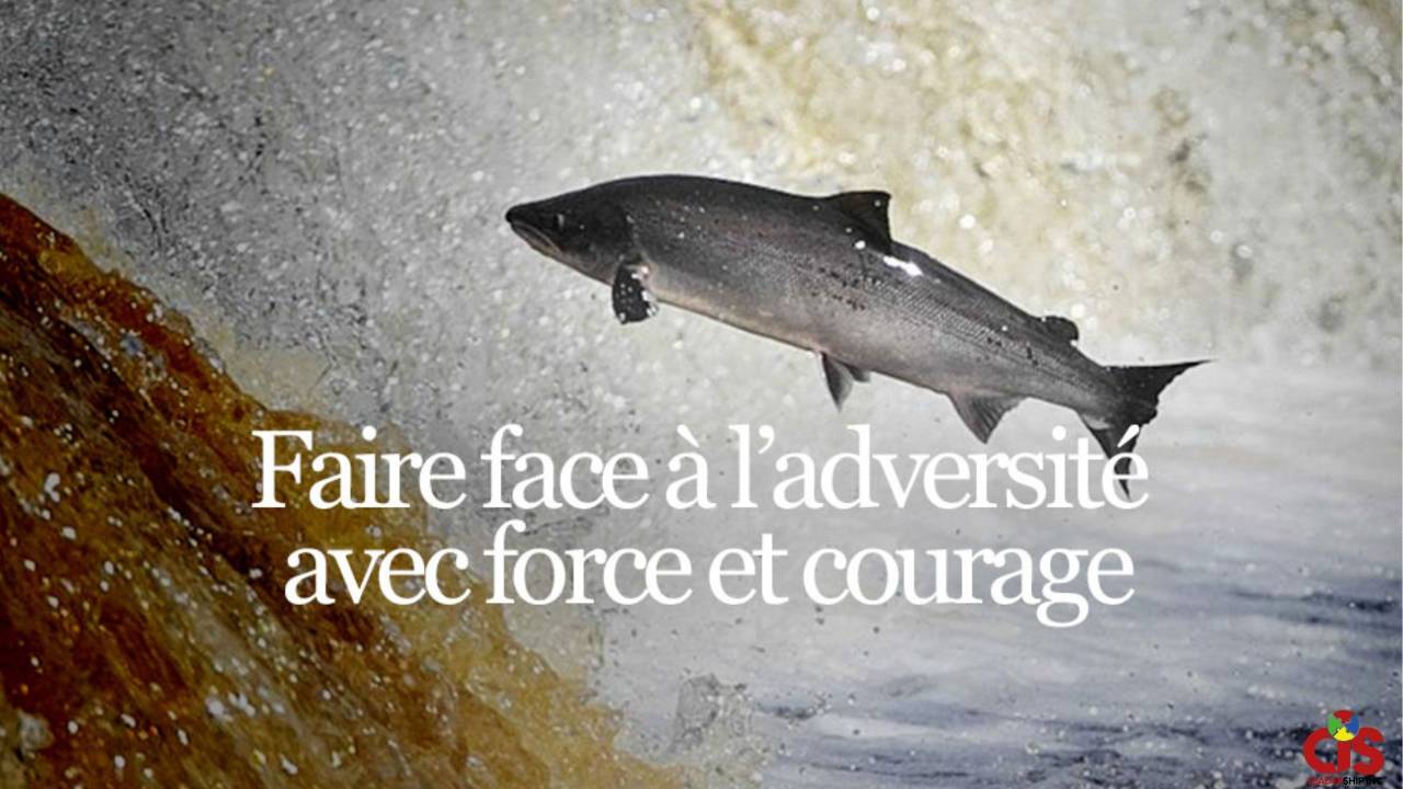 Faire face à l’adversité avec force et courage