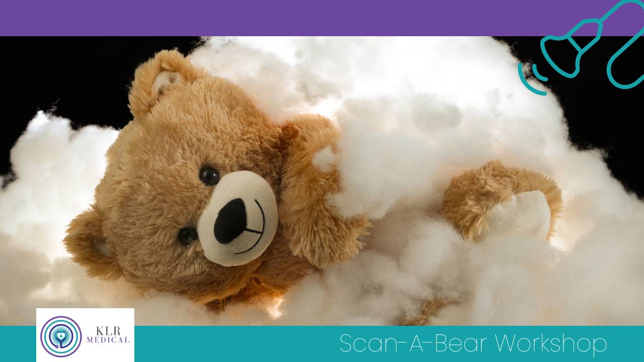 Scan-A-Bear Workshop