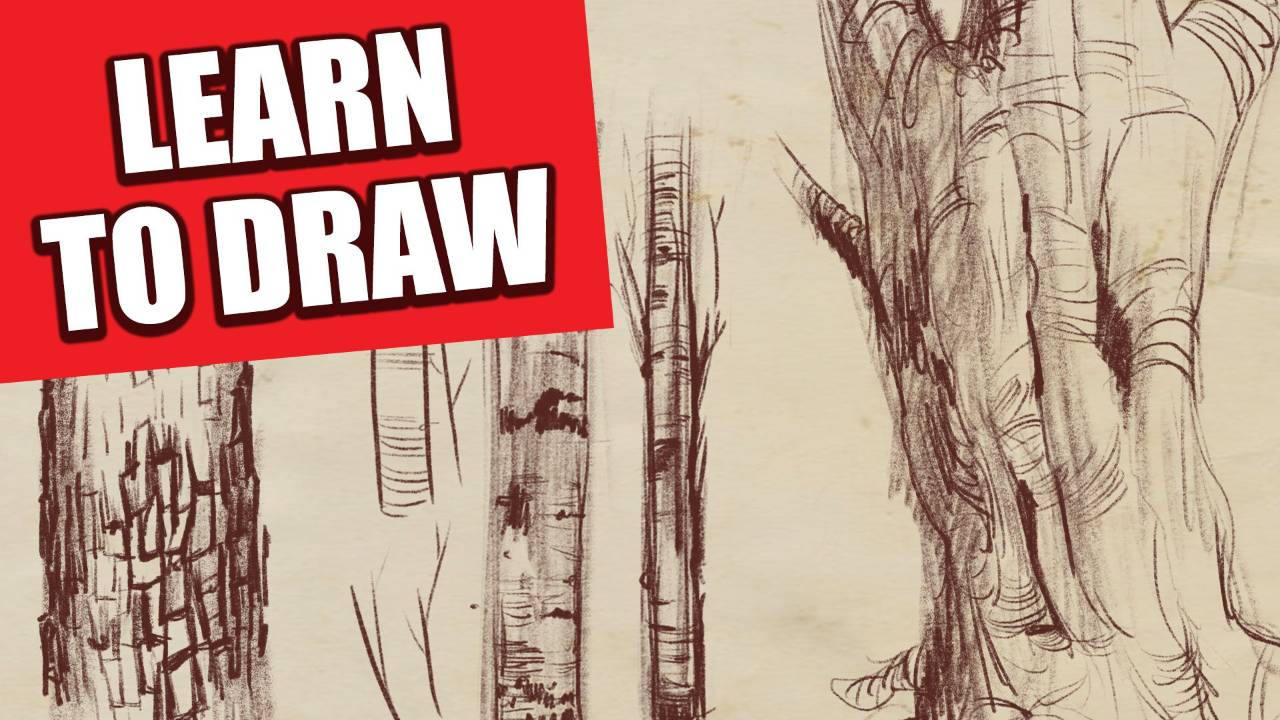 Free Step-by-Step Guide: Draw Realistic Bark for Pine, Aspen, and Oak