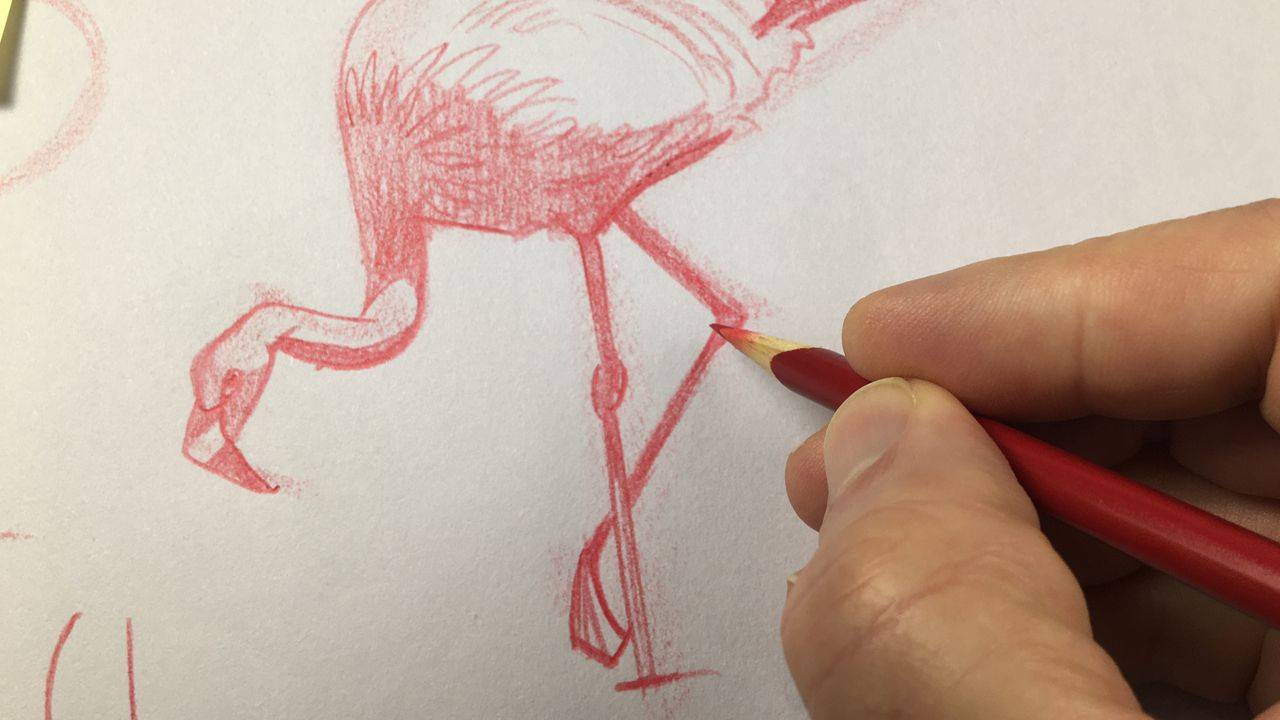 Drawing Unleashed: A Comprehensive Guide for Beginning Artists