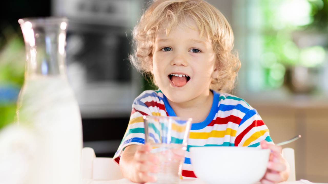 What is Food Jagging in Fussy Eaters