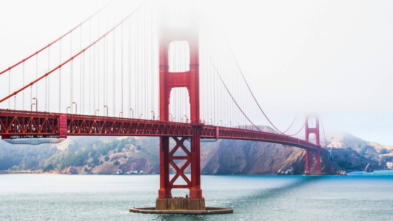 The 3 Types of Support Structures You’ll Need as You Grow