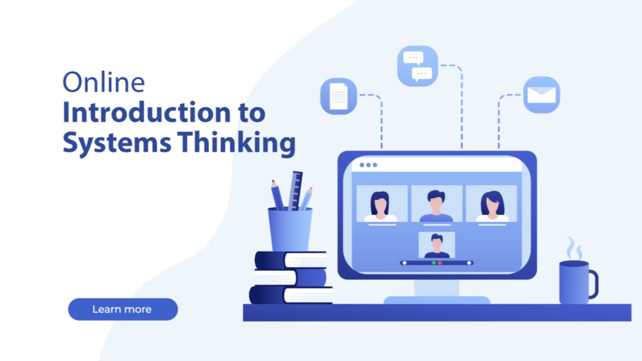 Online Introduction to Systems Thinking