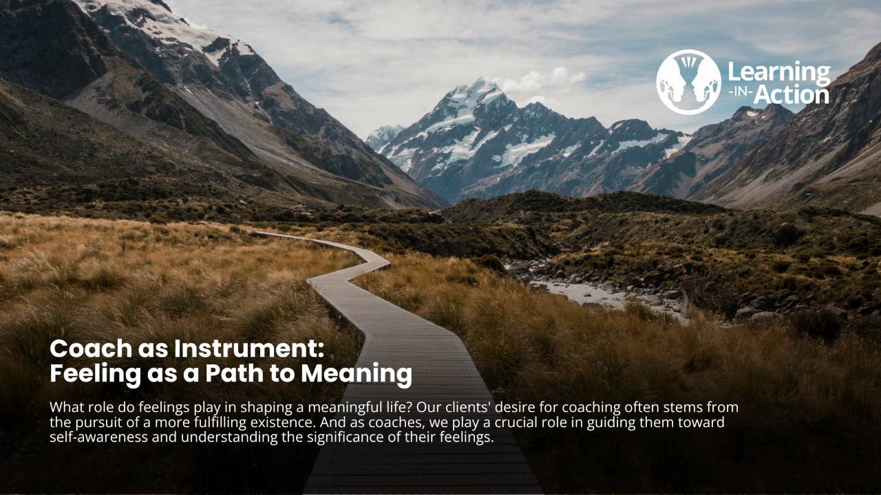 Coach as Instrument: Feeling as a Path to Meaning