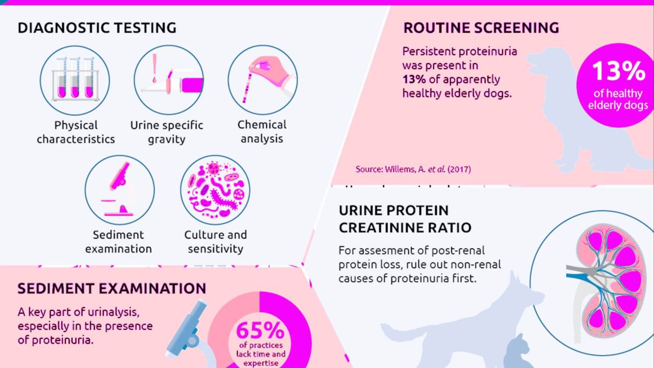 Urinalysis and Urine Cytology in Dogs and Cats: Diagnostic Guide