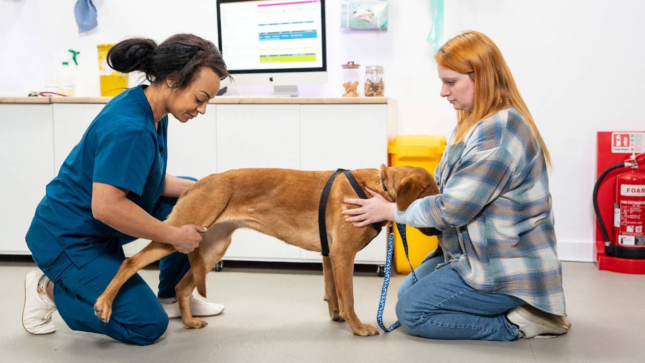 Thank You For Registering! Mastering Client Conversations