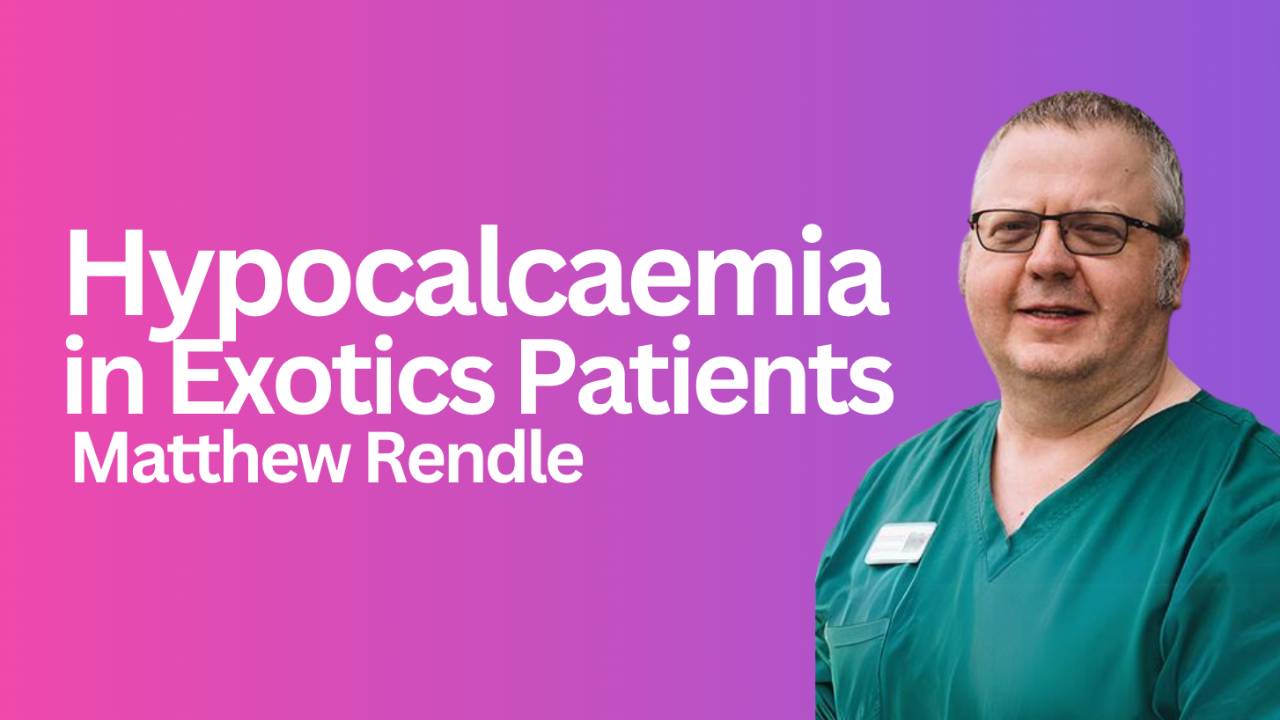Hypocalcaemic Exotic Patients brought to you by VetArk