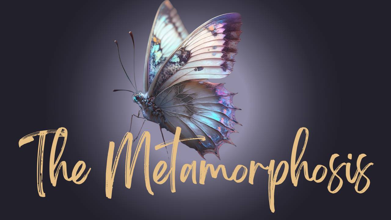 THE METAMORPHOSIS