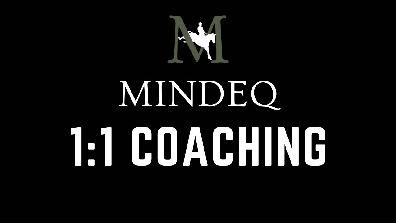 MINDEQ Coaching Application