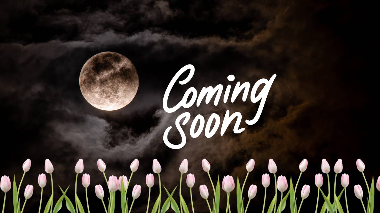 Coming Soon: A Full Moon Experience at Ganden Gardens
