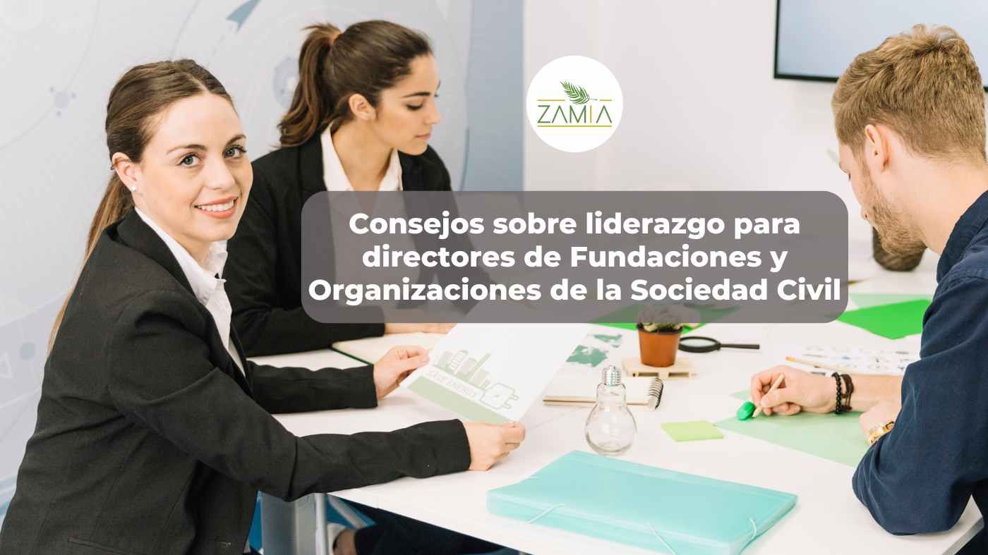 Liderazgo para directores de Fundaciones, OSC y ONG