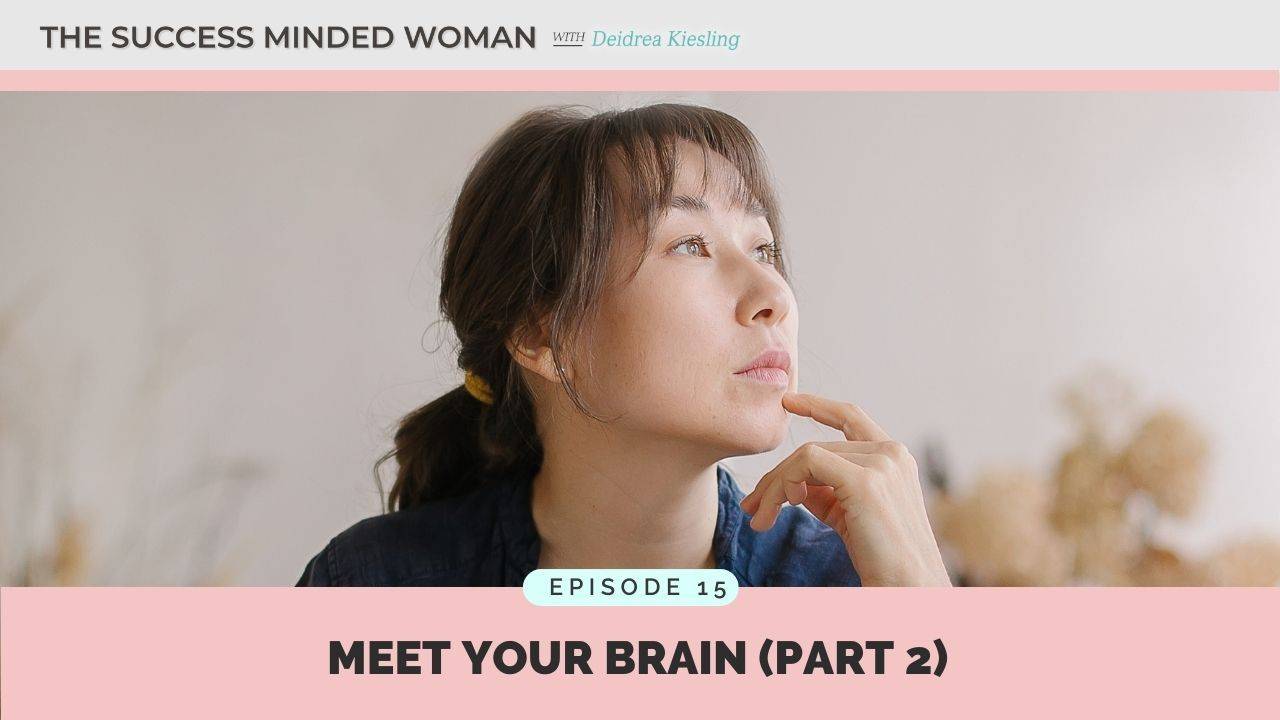 15. Meet Your Brain (Part 2)