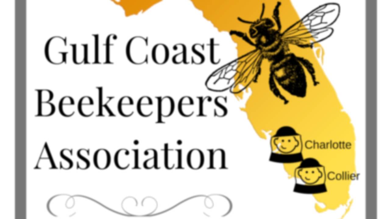Join Gulf Coast Beekeepers Assoc Bee Club Connecting Local Beekeepers