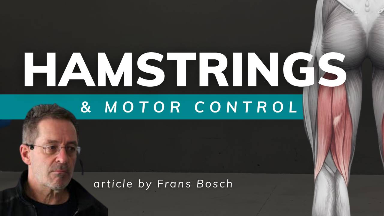 Hamstrings and Motor Control | Article by Frans Bosch