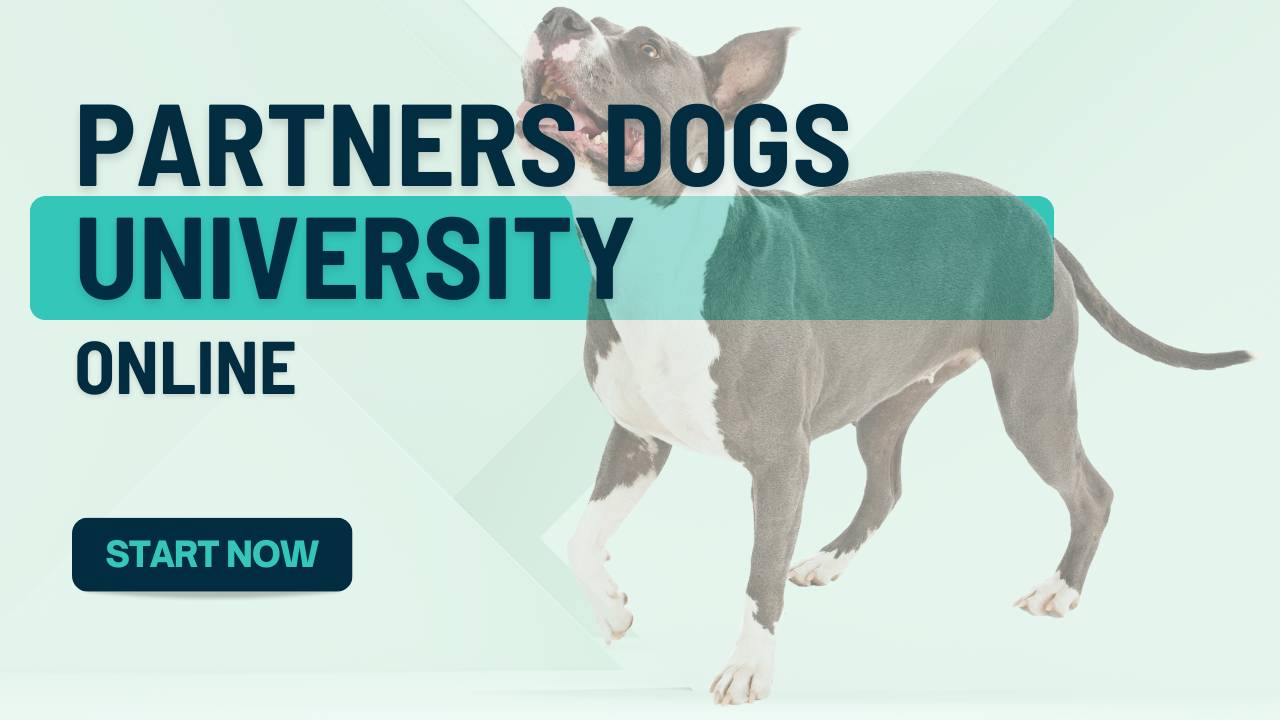 Partners Dogs University | Education For Dog Owners & Professionals