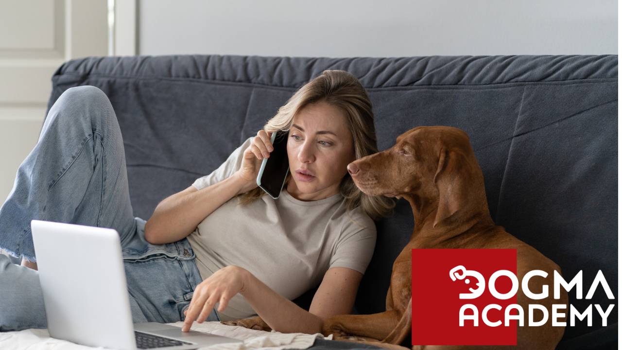 The Power of Social Media: A Guide for Certified Dog Trainers