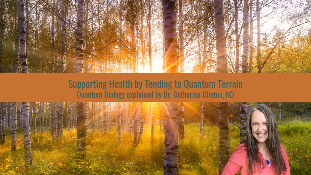 Dr. Catherine Clinton | Quantum Biology Educator