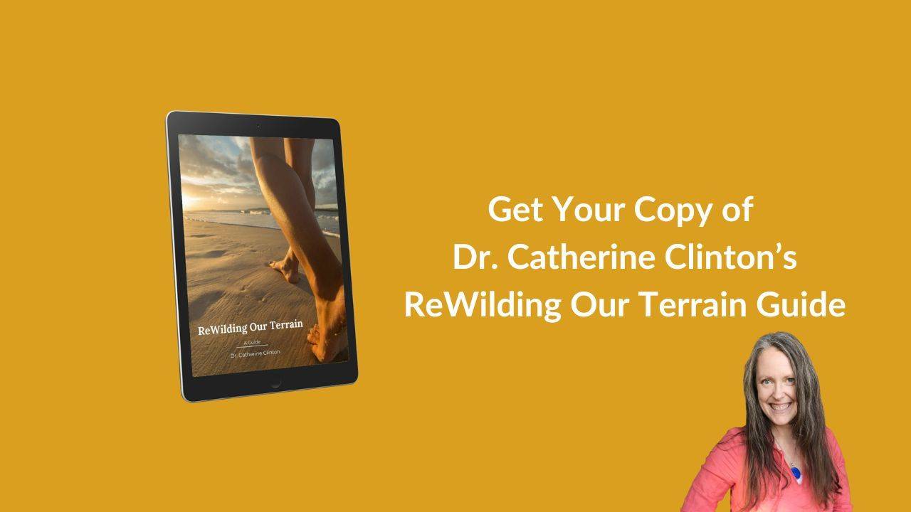 Connecting to Your Quantum Biology Guide from Dr. Catherine Clinton