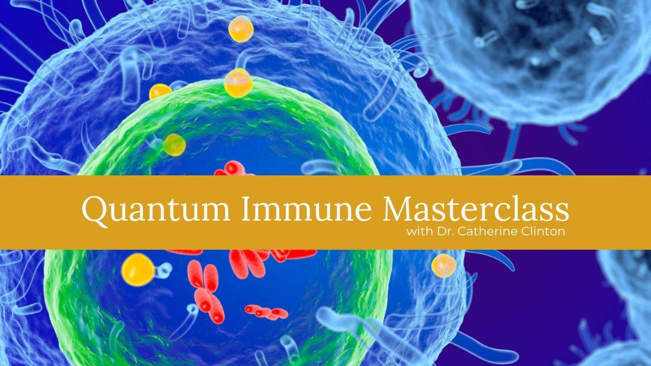 Quantum Immune Masterclass