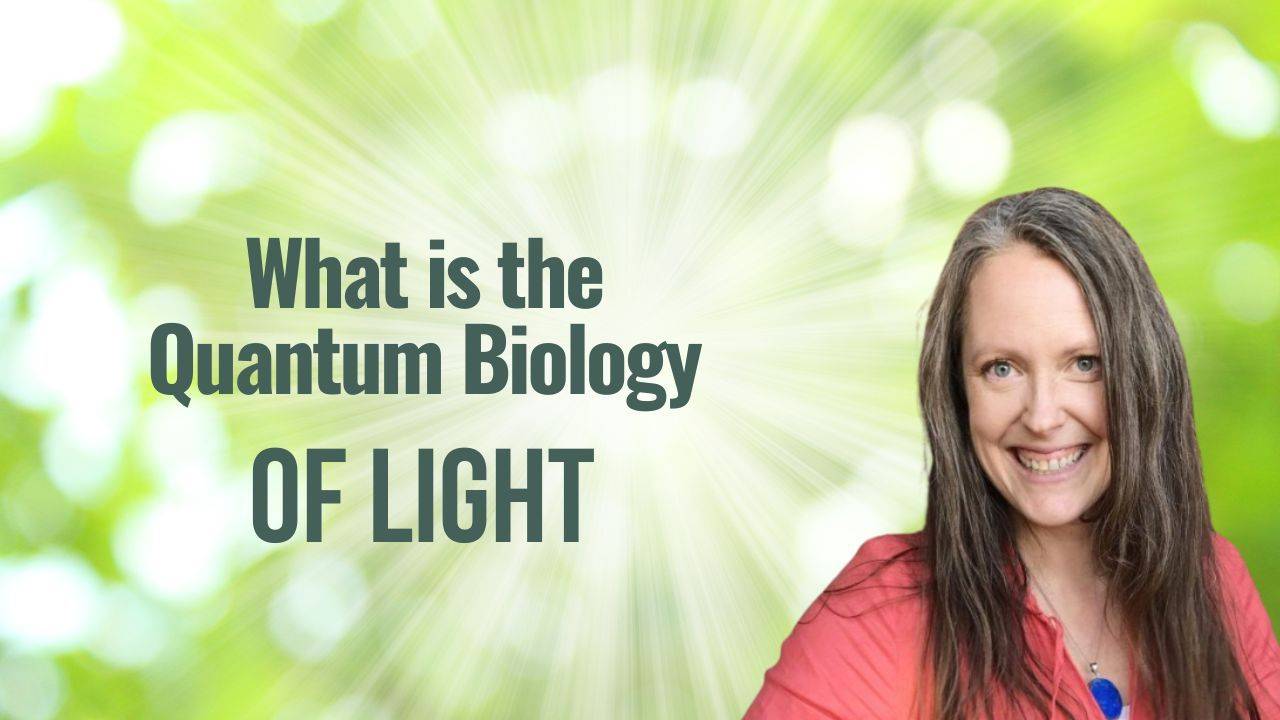 What is the Quantum Biology of Light