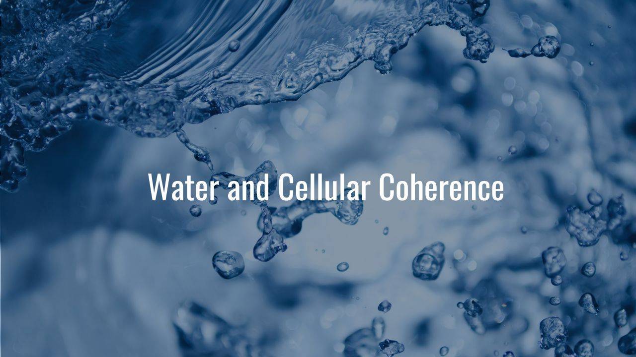 Water and Cellular Coherence