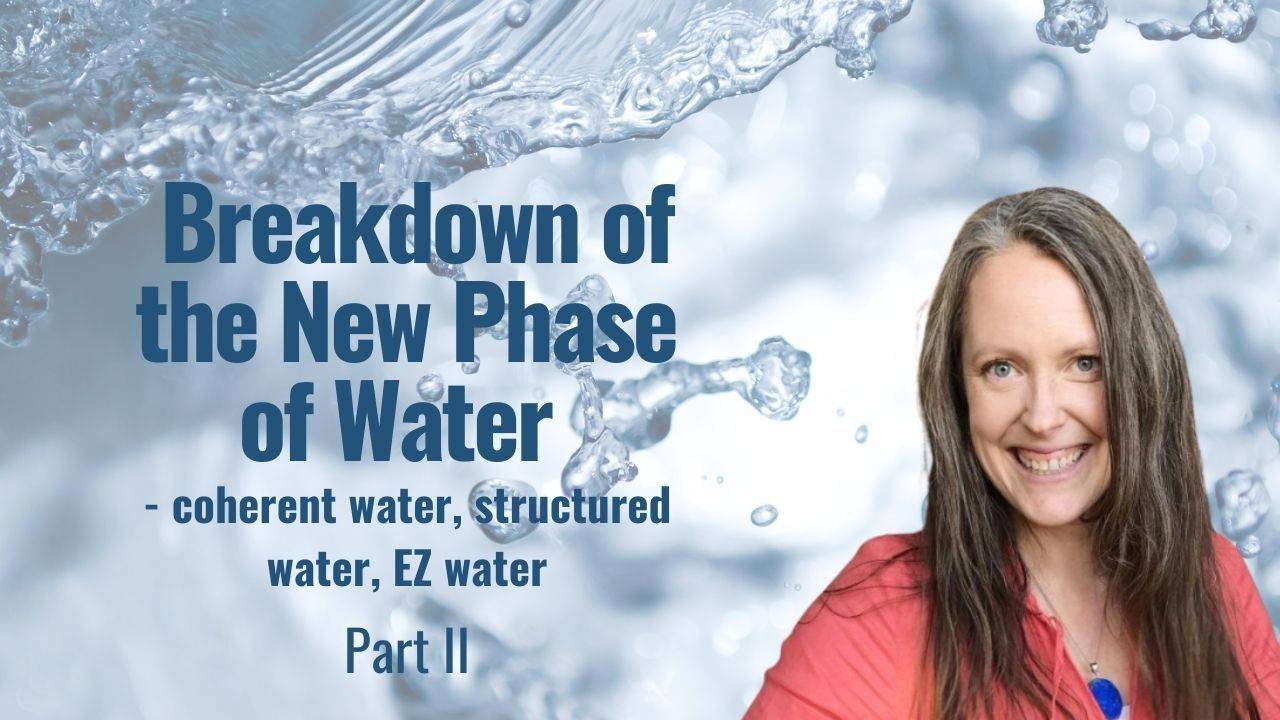 What is the Quantum Biology of Water - Part II