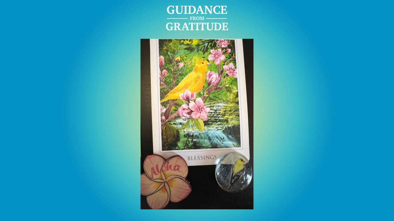 Yellow Bird & Blessings