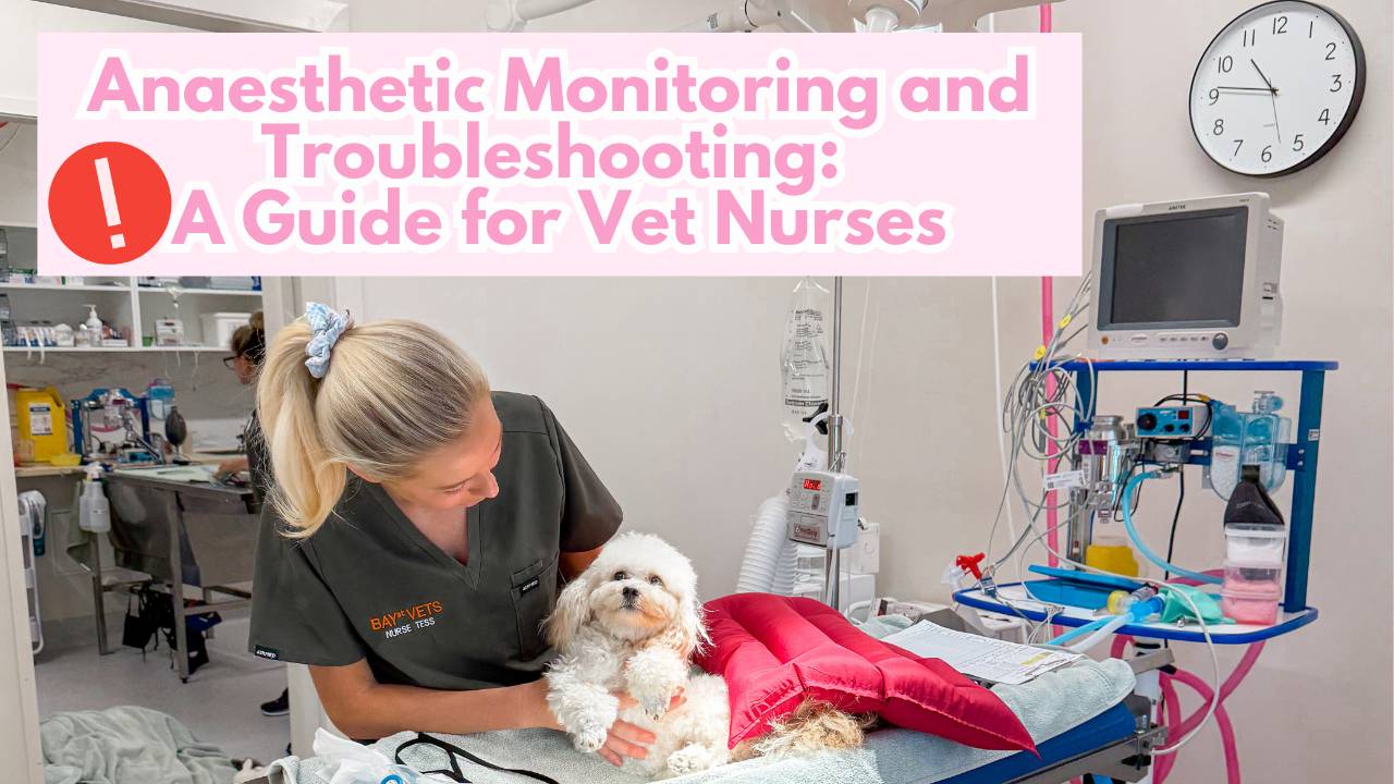 Anaesthetic Monitoring and Troubleshooting: A Guide for Vet Nurses