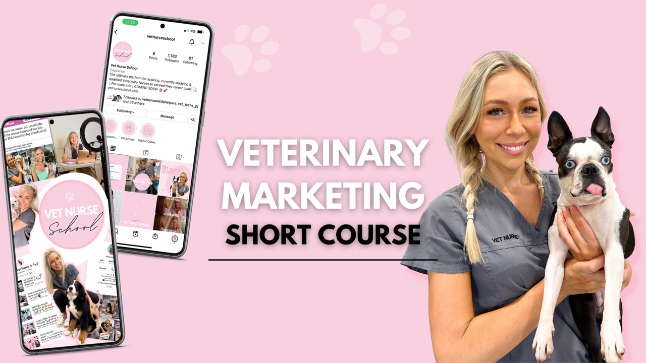 Veterinary Social Media Marketing Course