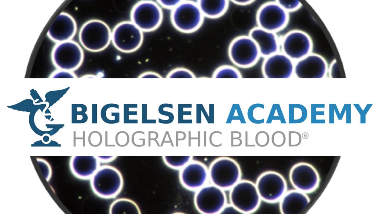 Bigelsen Method School of Health
