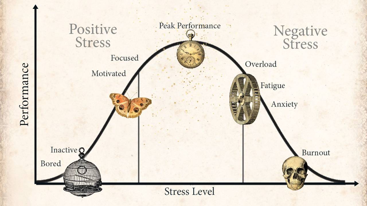Stress and Motivation: How to Stay Driven and Resilient