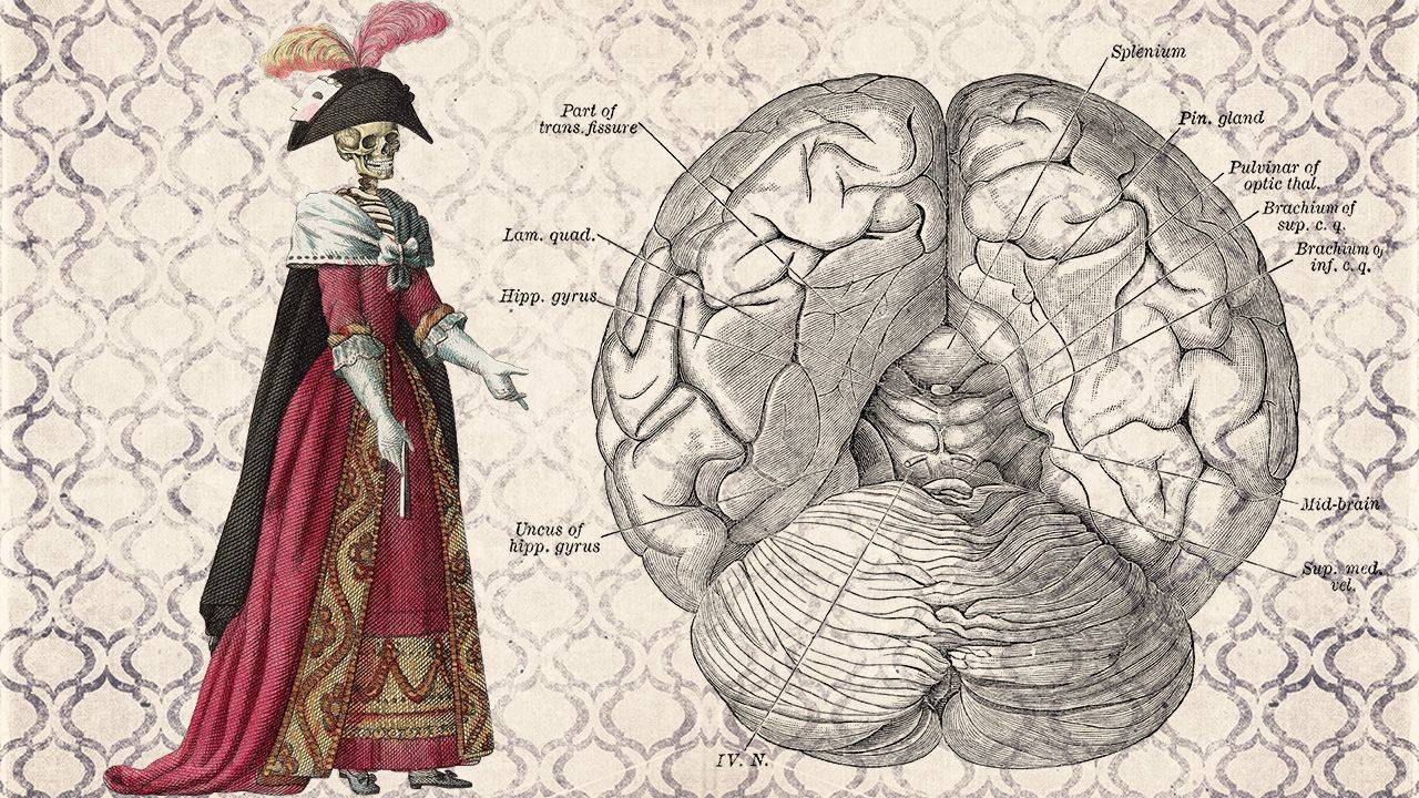 Neurobiology of Chronic Nightmares: Causes & Brain Insights