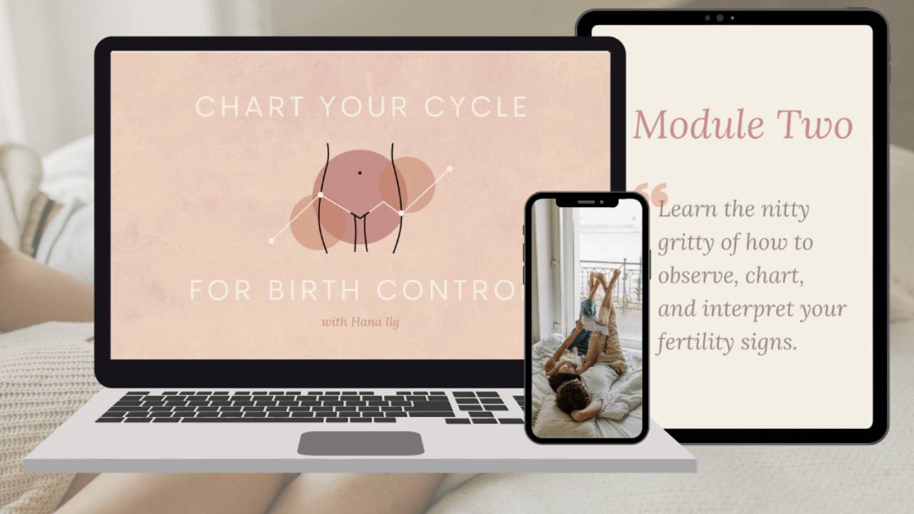 Chart for Birth Control - Fertility Awareness Method