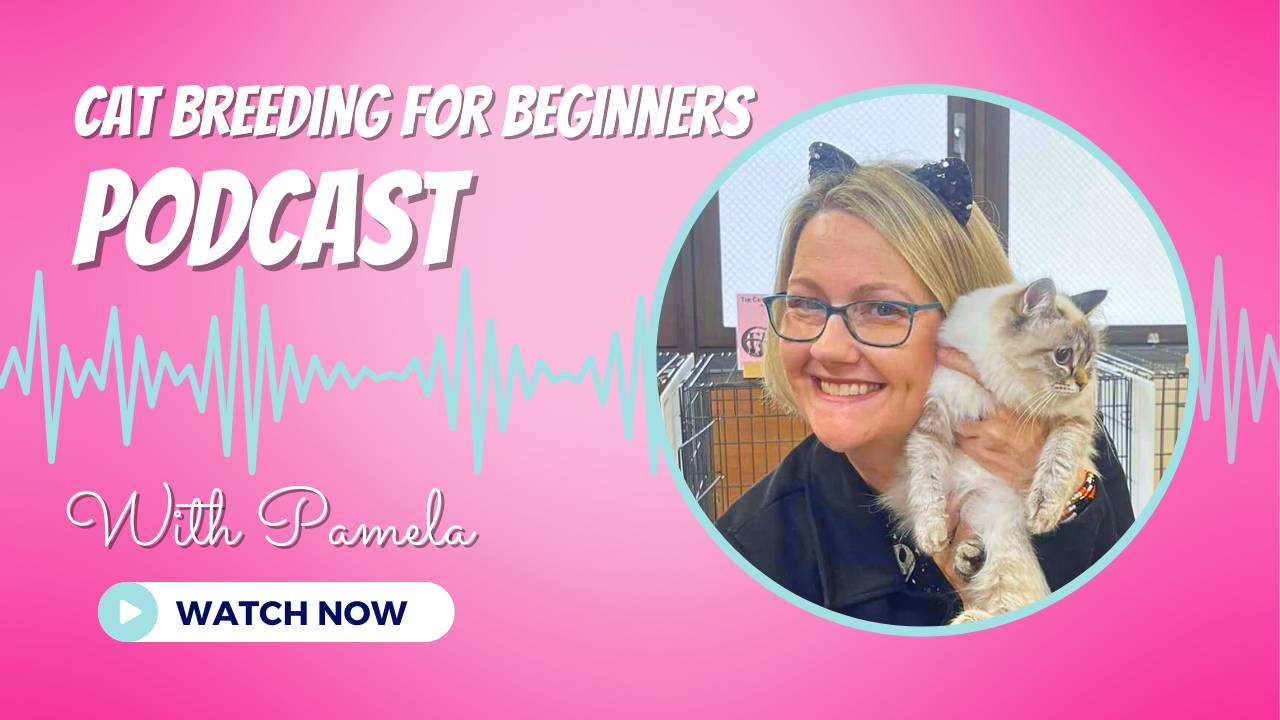 Cat Breeding for Beginners Podcast | The Cat Breeder Coach