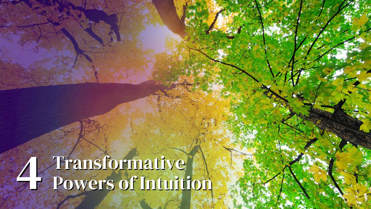 Four Transformative Powers of Intuition