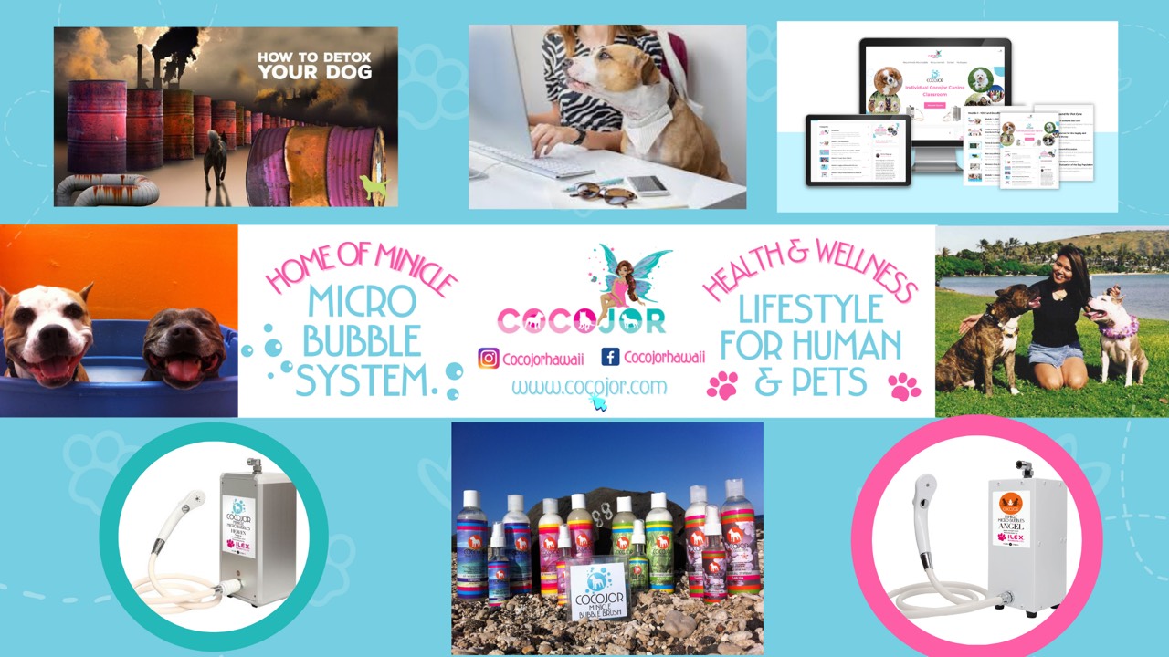 Cocojor Webinar Series