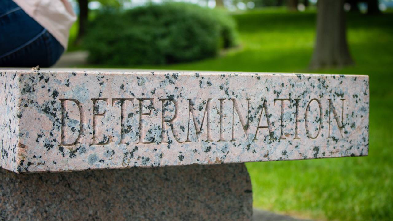 Determination