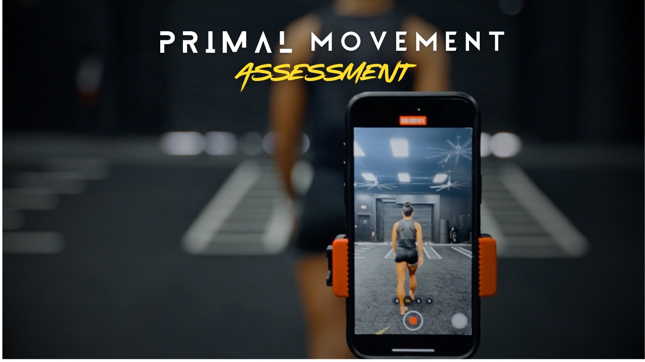 Primal Movement Assessment