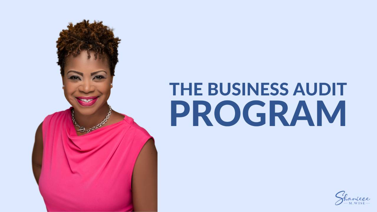 The Business Audit Program