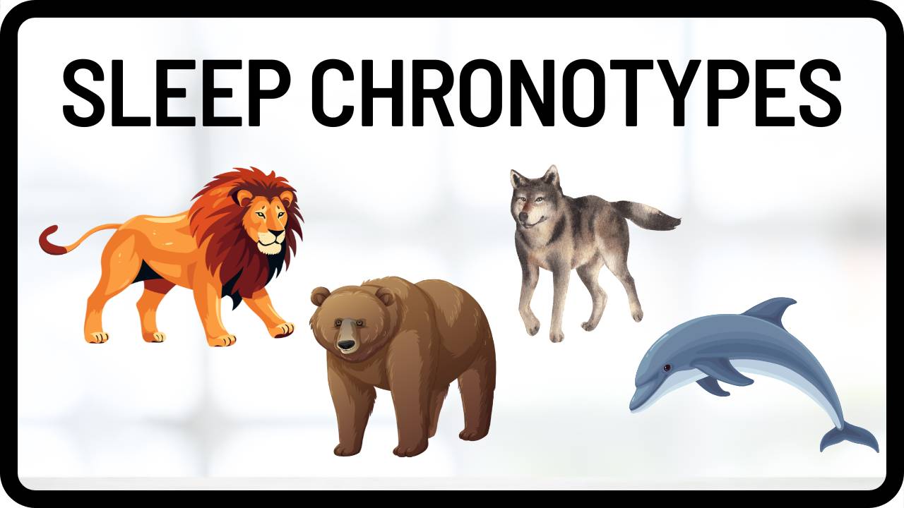 Are You a Lion, Bear, Wolf, or Dolphin?