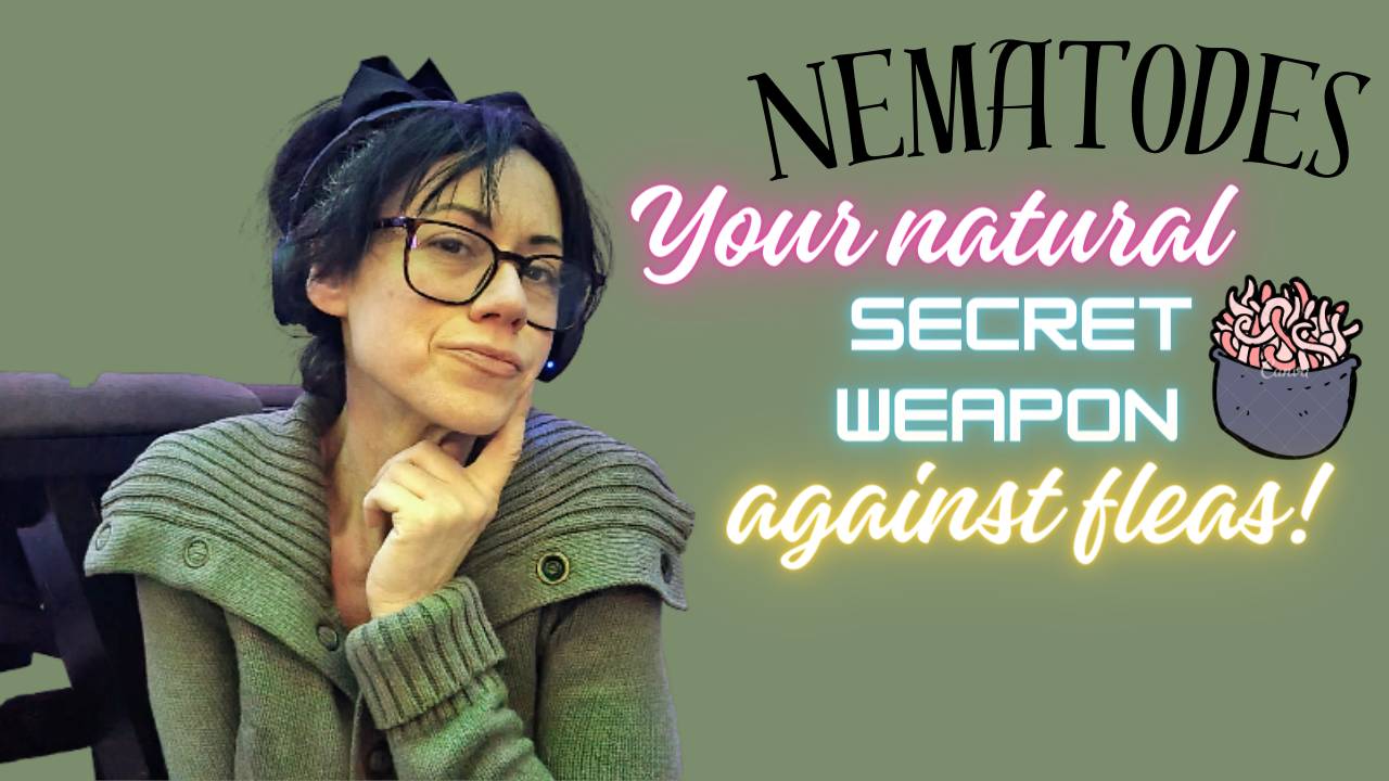 The Power of Nematodes | The Holistic Cat Specialist