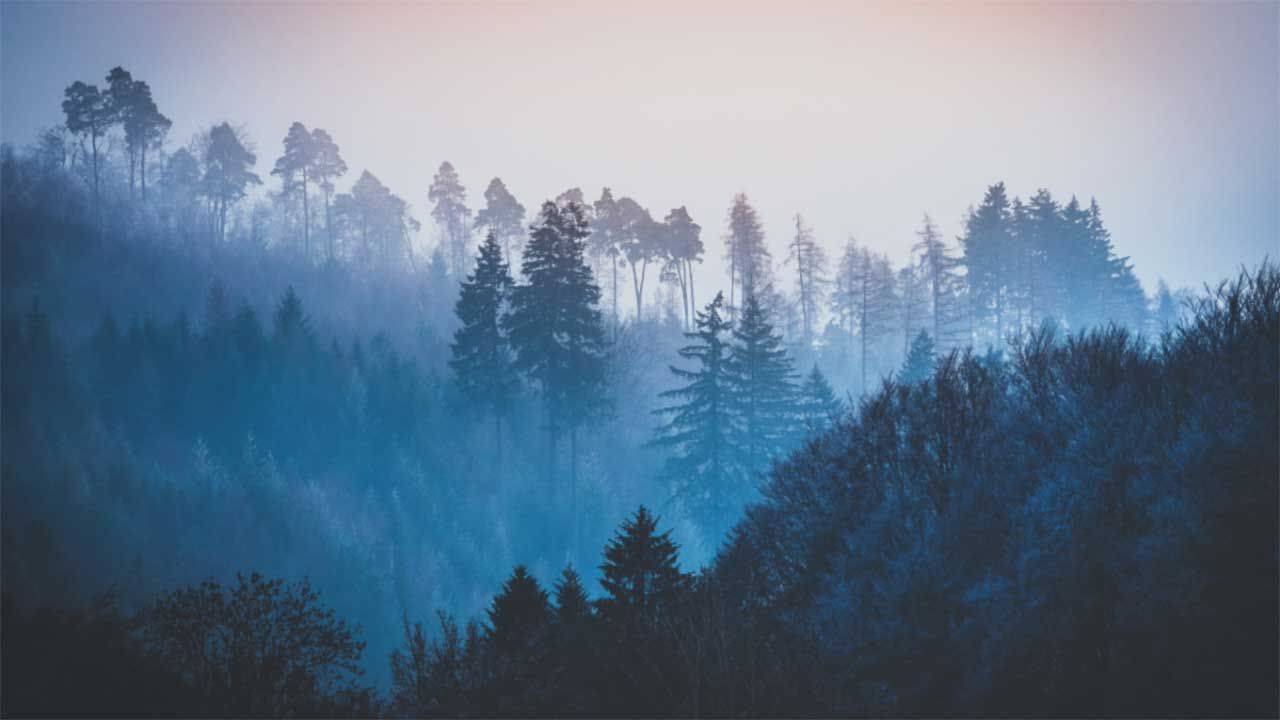 The Form and the Formless