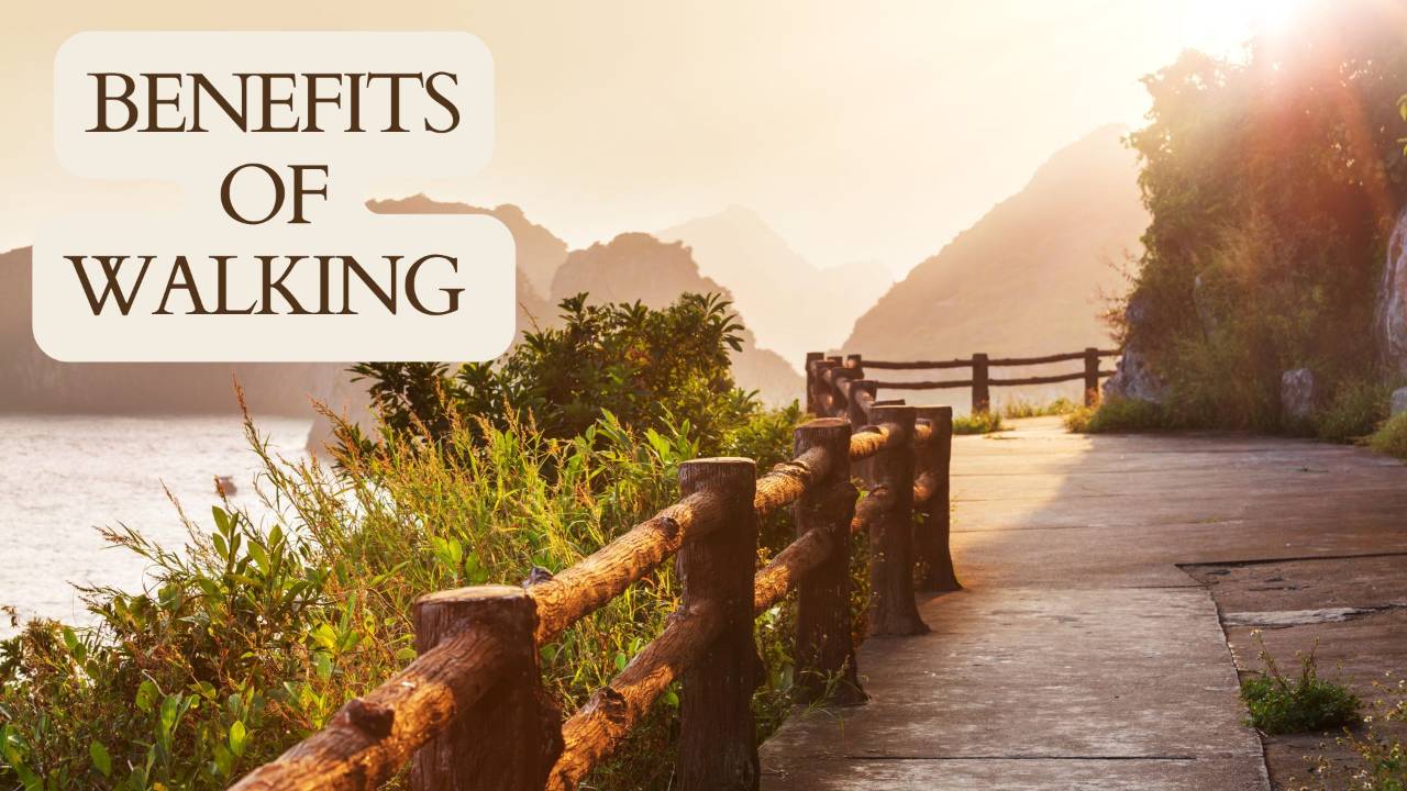 Benefits of Walking: Why is Walking Important?