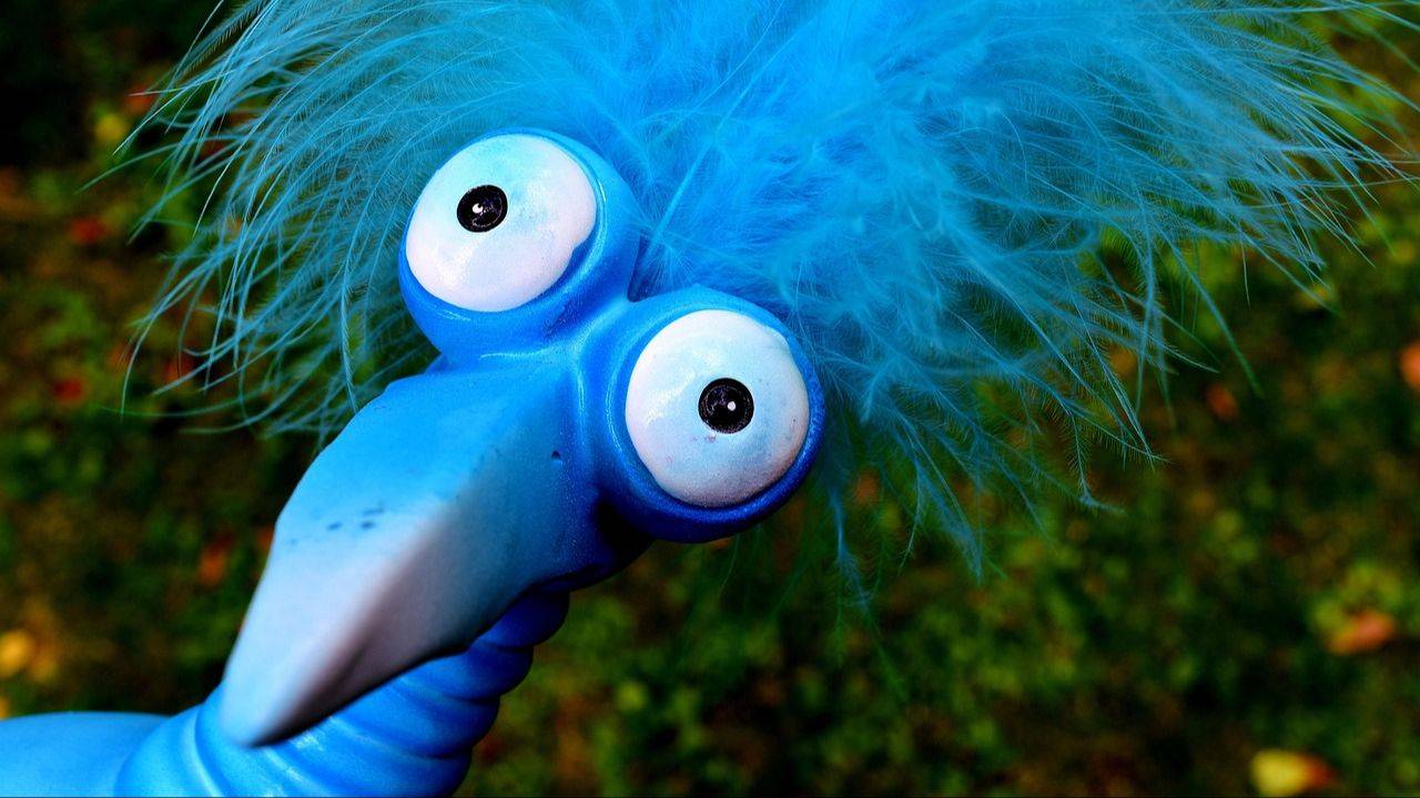 The Science of Noticing: Your Sentient Brain's Secret Superpower