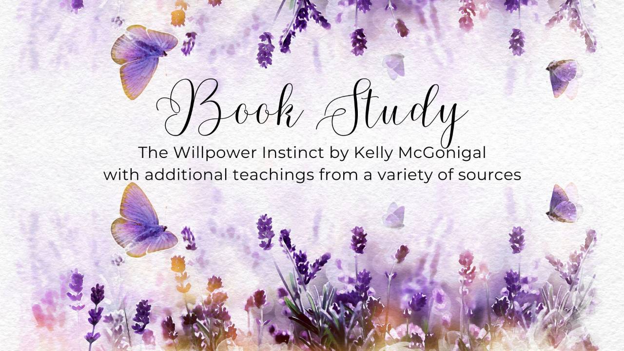 Book Study - The Willpower Instinct - and beyond