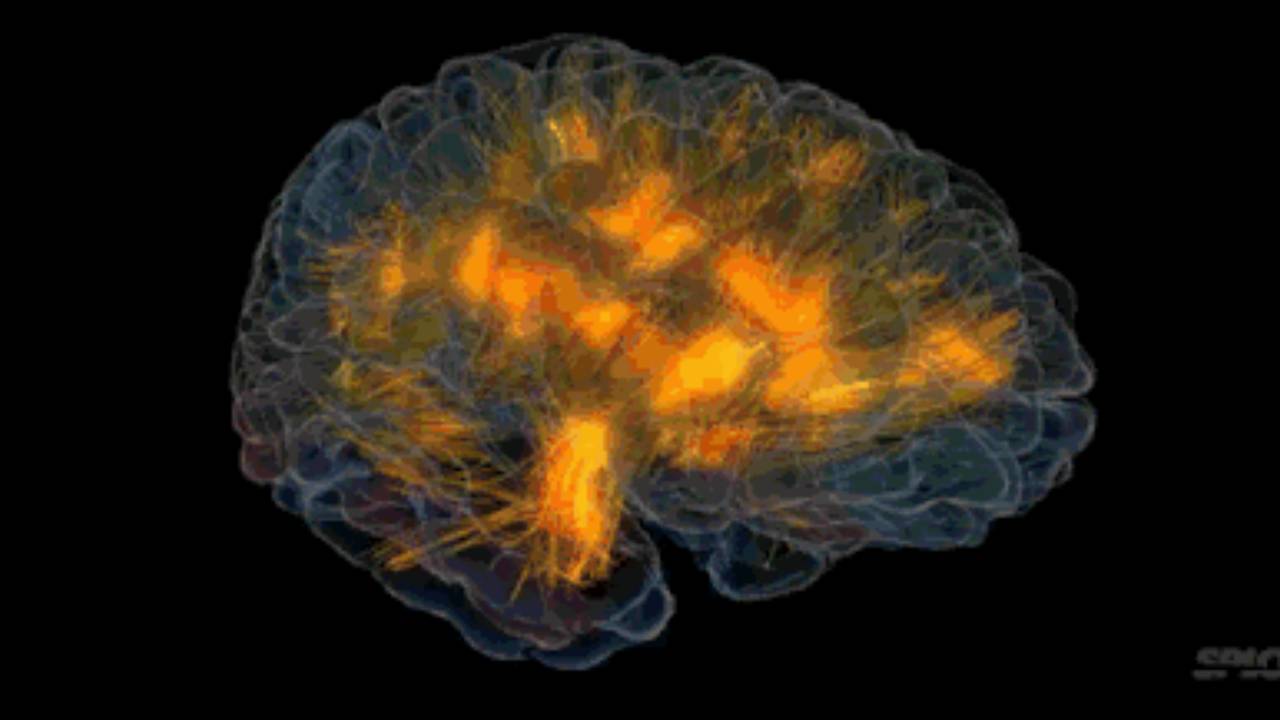 The Neuroscience of Eating: How Your Brain Controls Food Behavior