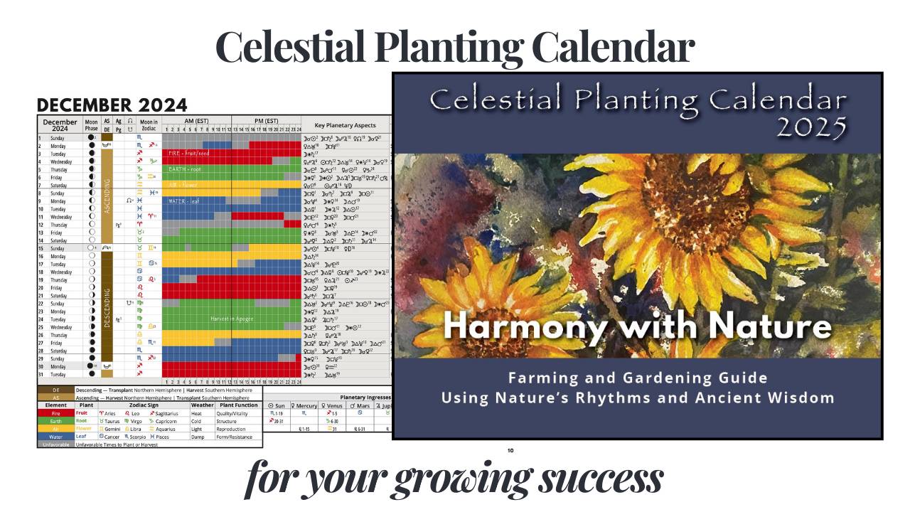 Celestial Planting Calendar 2025 for your growing success