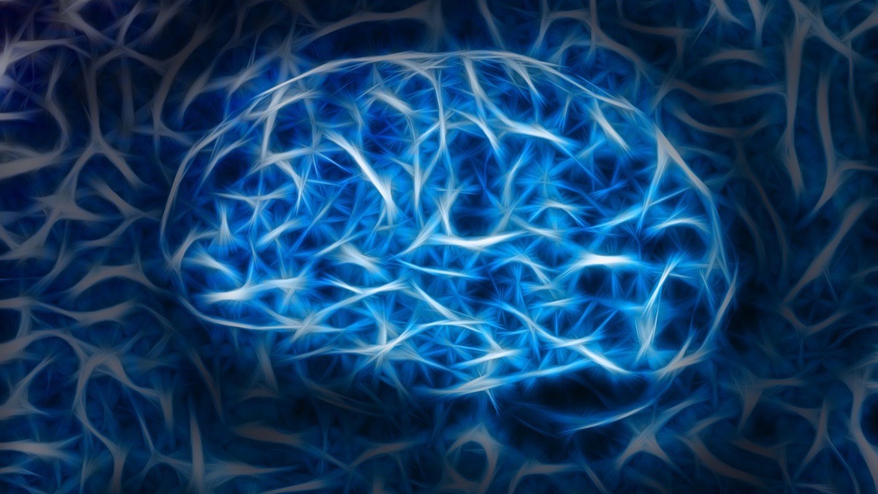 Train Your Brain with NeurOptimal® Neurofeedback
